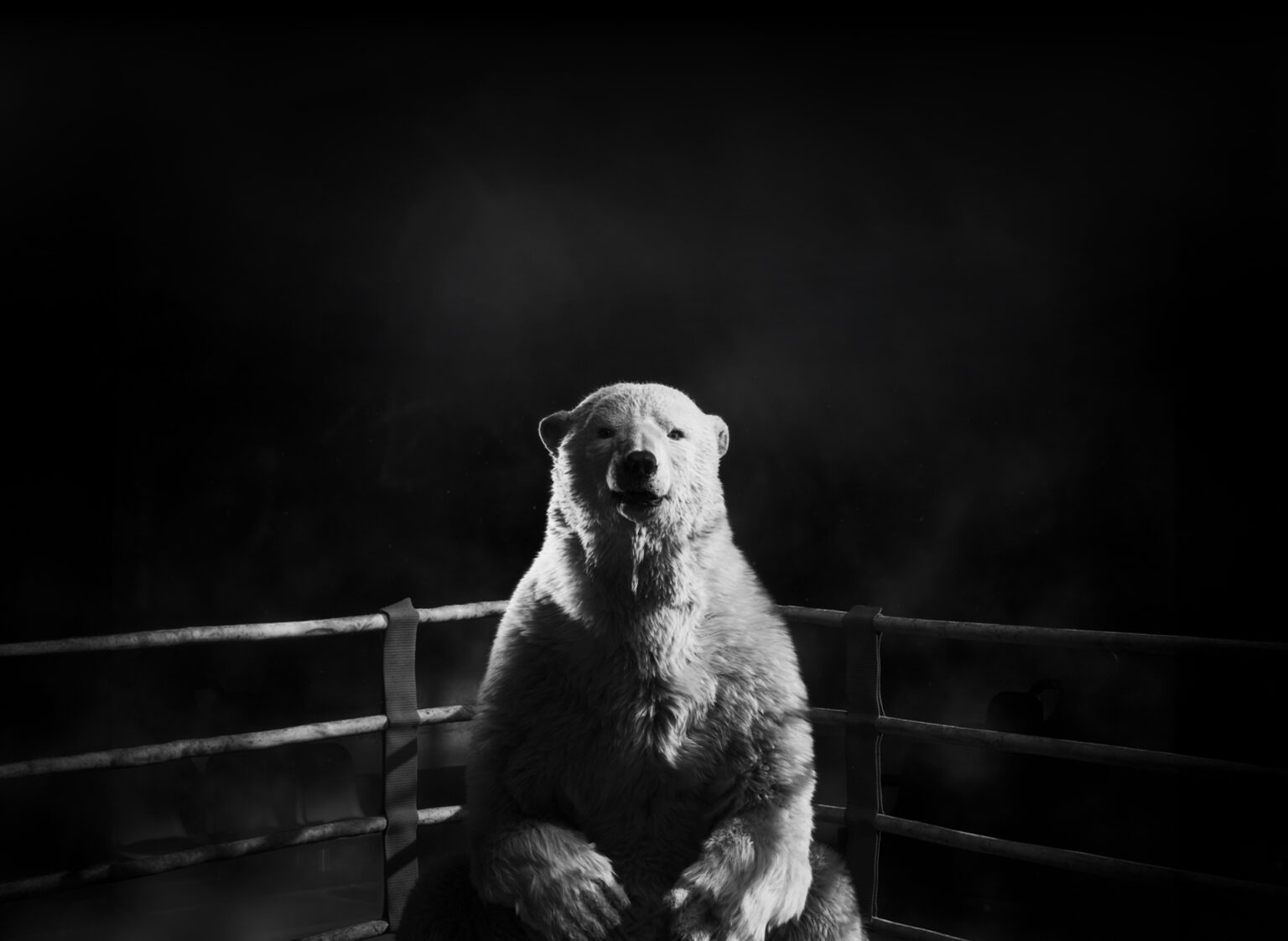 Work – TBWA\ Australia